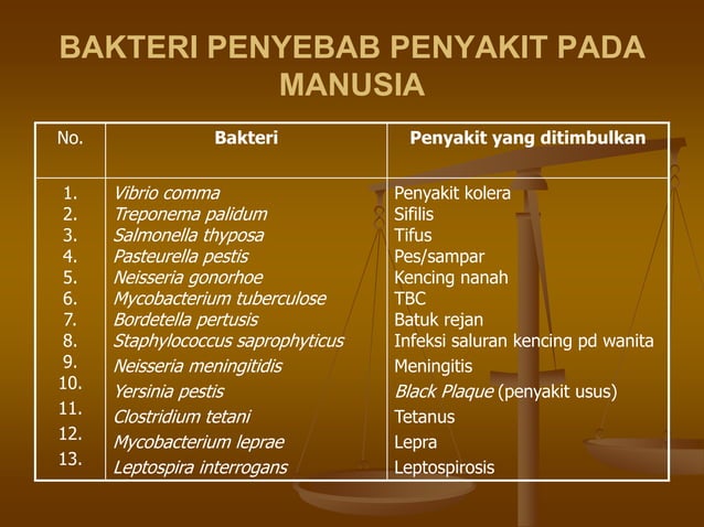 dasar-dasar-bakteriologi.ppt