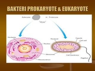 dasar-dasar-bakteriologi.ppt
