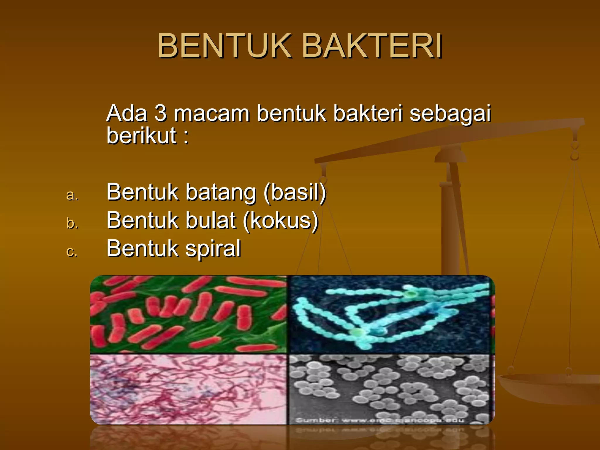 Dasar dasar-bakteriologi | PPT