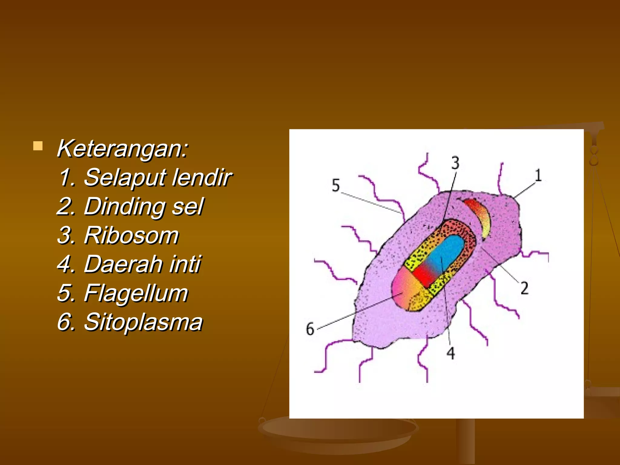 Dasar dasar-bakteriologi | PPT