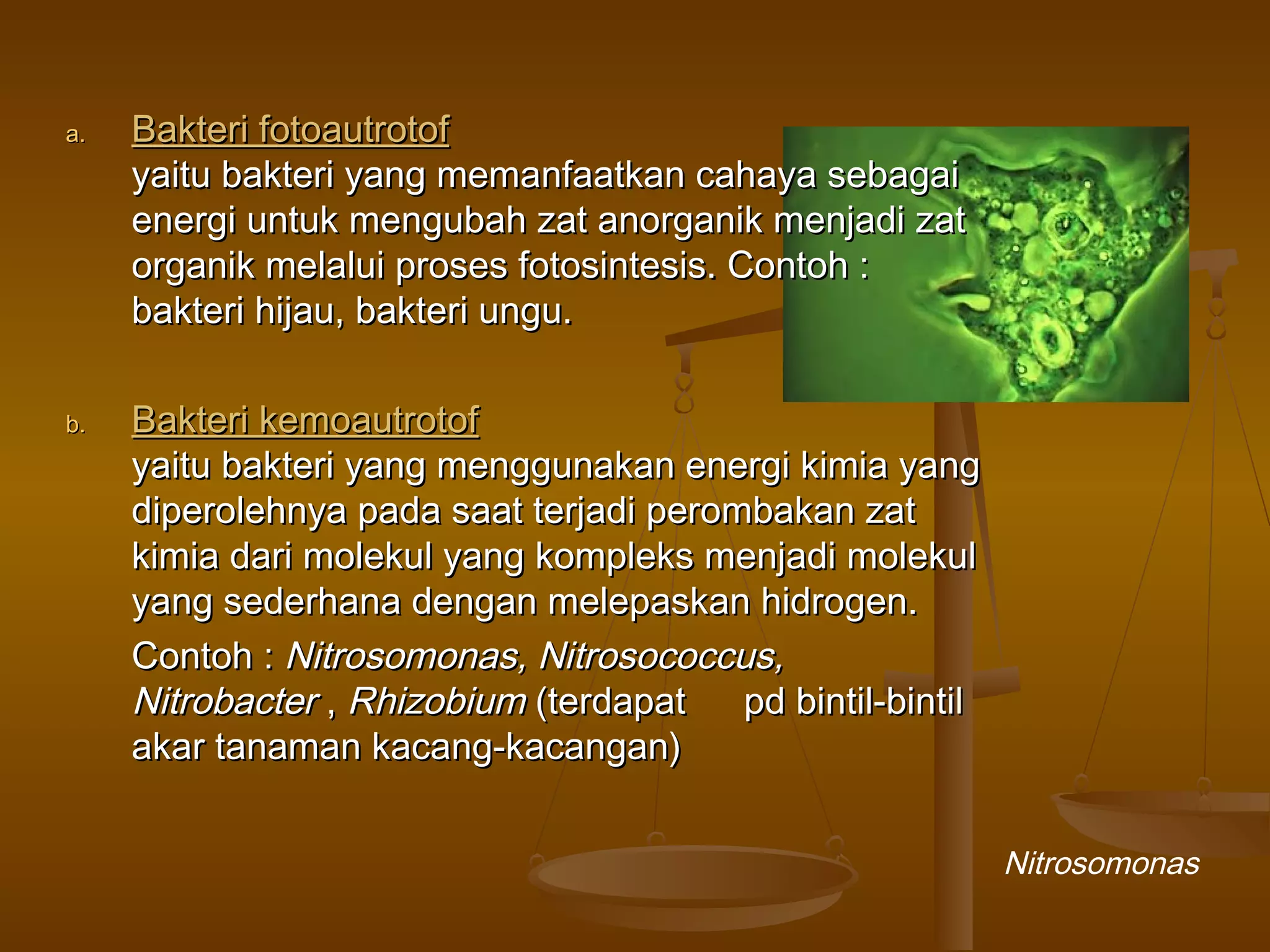 Dasar dasar-bakteriologi | PPT