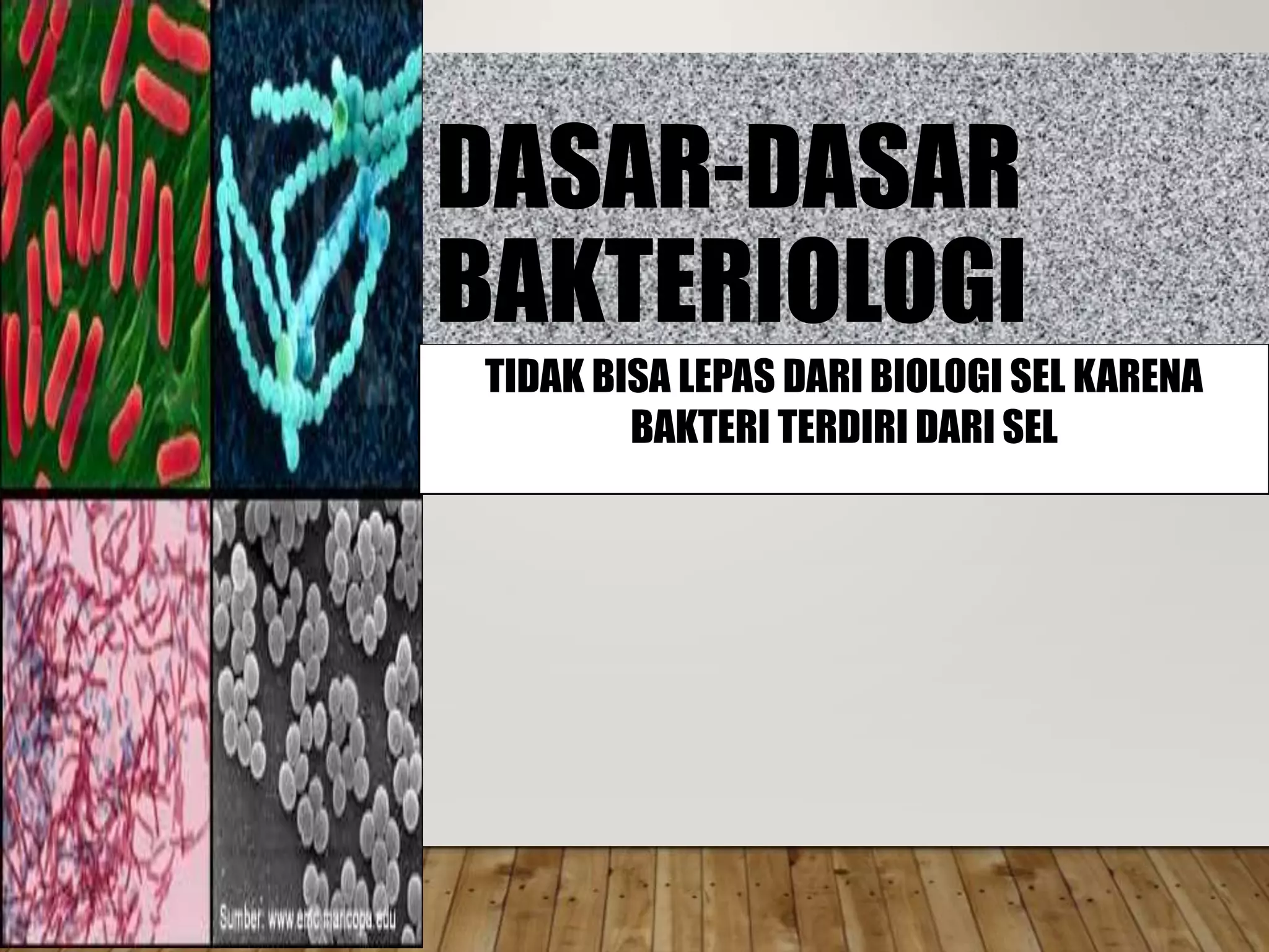 dasar-dasar-bakteriologi ppt.ppt