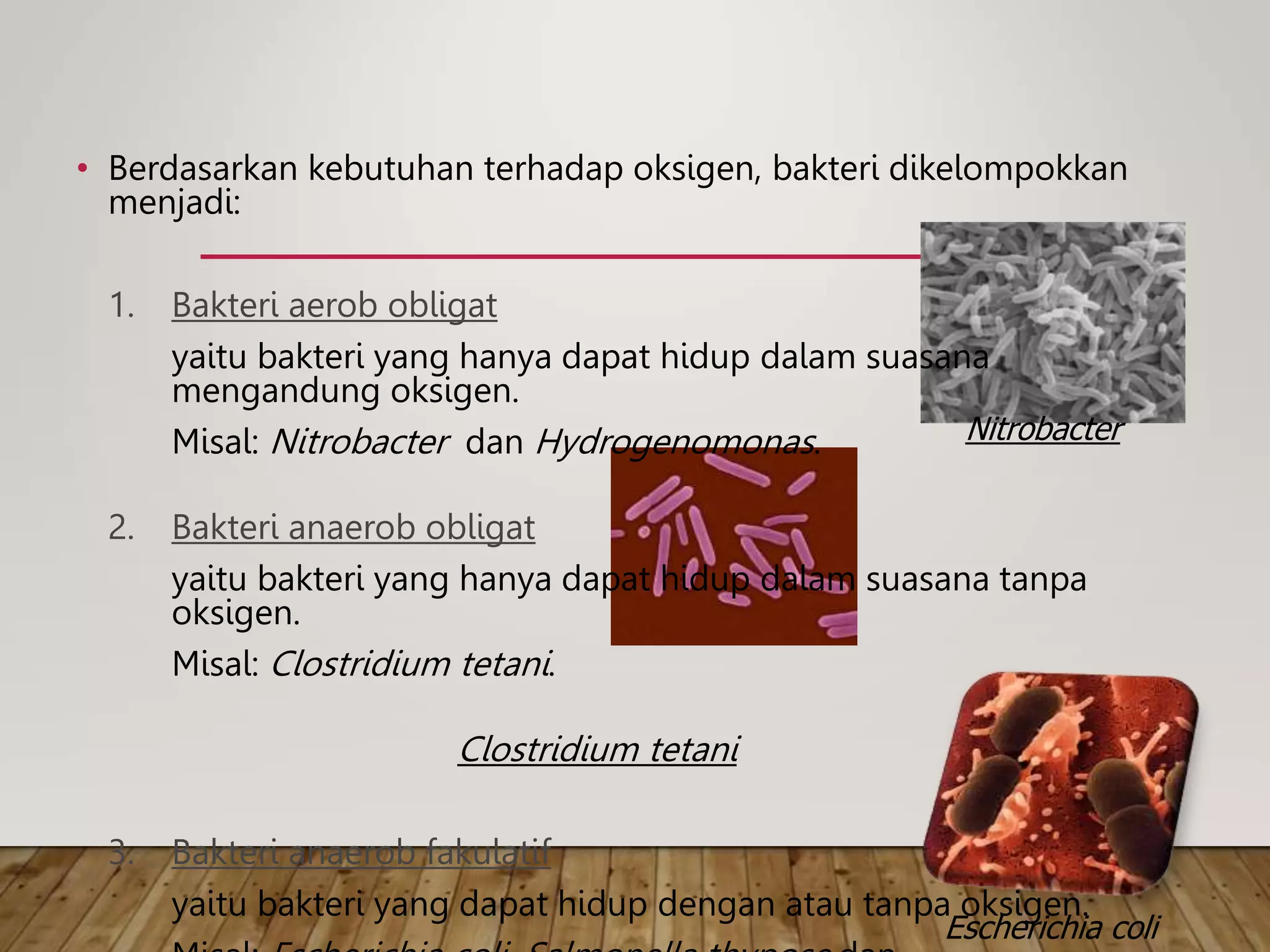 dasar-dasar-bakteriologi ppt.ppt