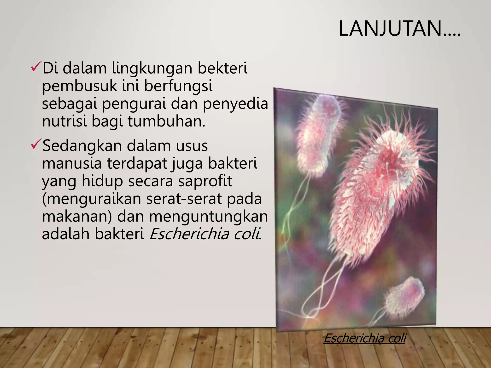 dasar-dasar-bakteriologi ppt.ppt