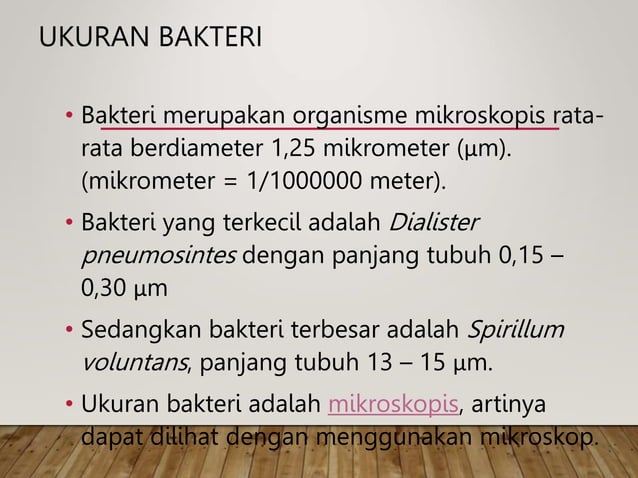 dasar-dasar-bakteriologi ppt.ppt