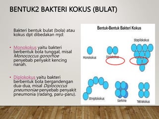 dasar-dasar-bakteriologi ppt.ppt