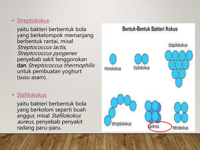 dasar-dasar-bakteriologi ppt.ppt