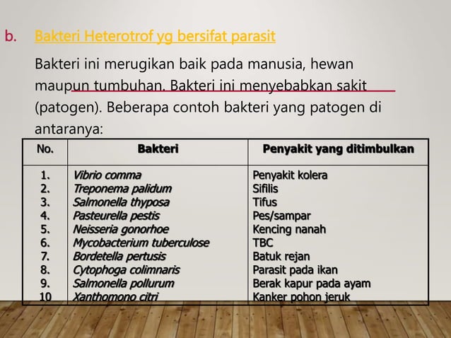 dasar-dasar-bakteriologi ppt.ppt