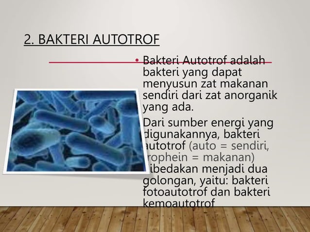 dasar-dasar-bakteriologi ppt.ppt