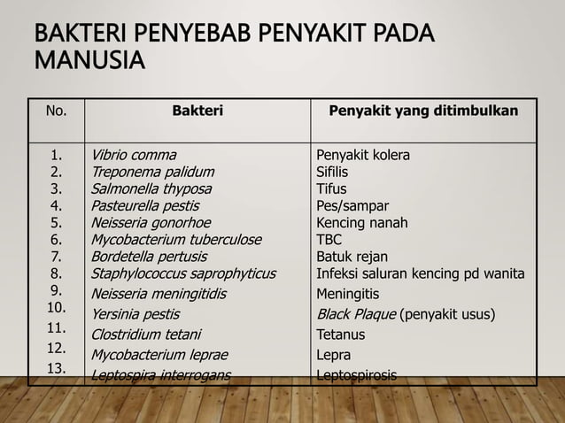 dasar-dasar-bakteriologi ppt.ppt