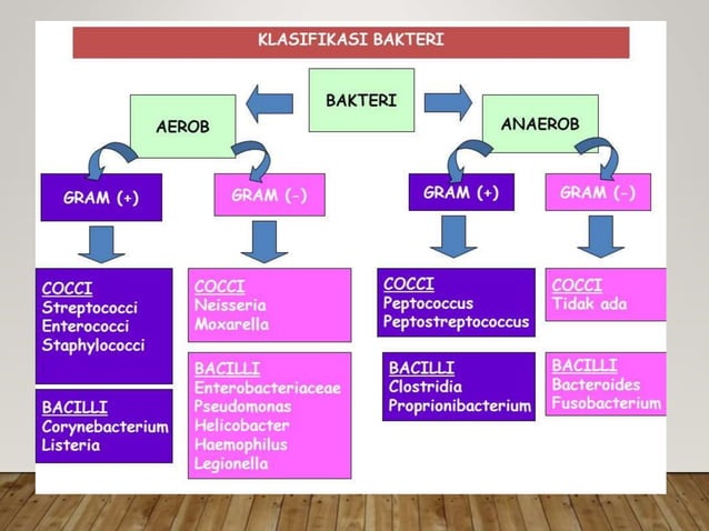 dasar-dasar-bakteriologi ppt.ppt