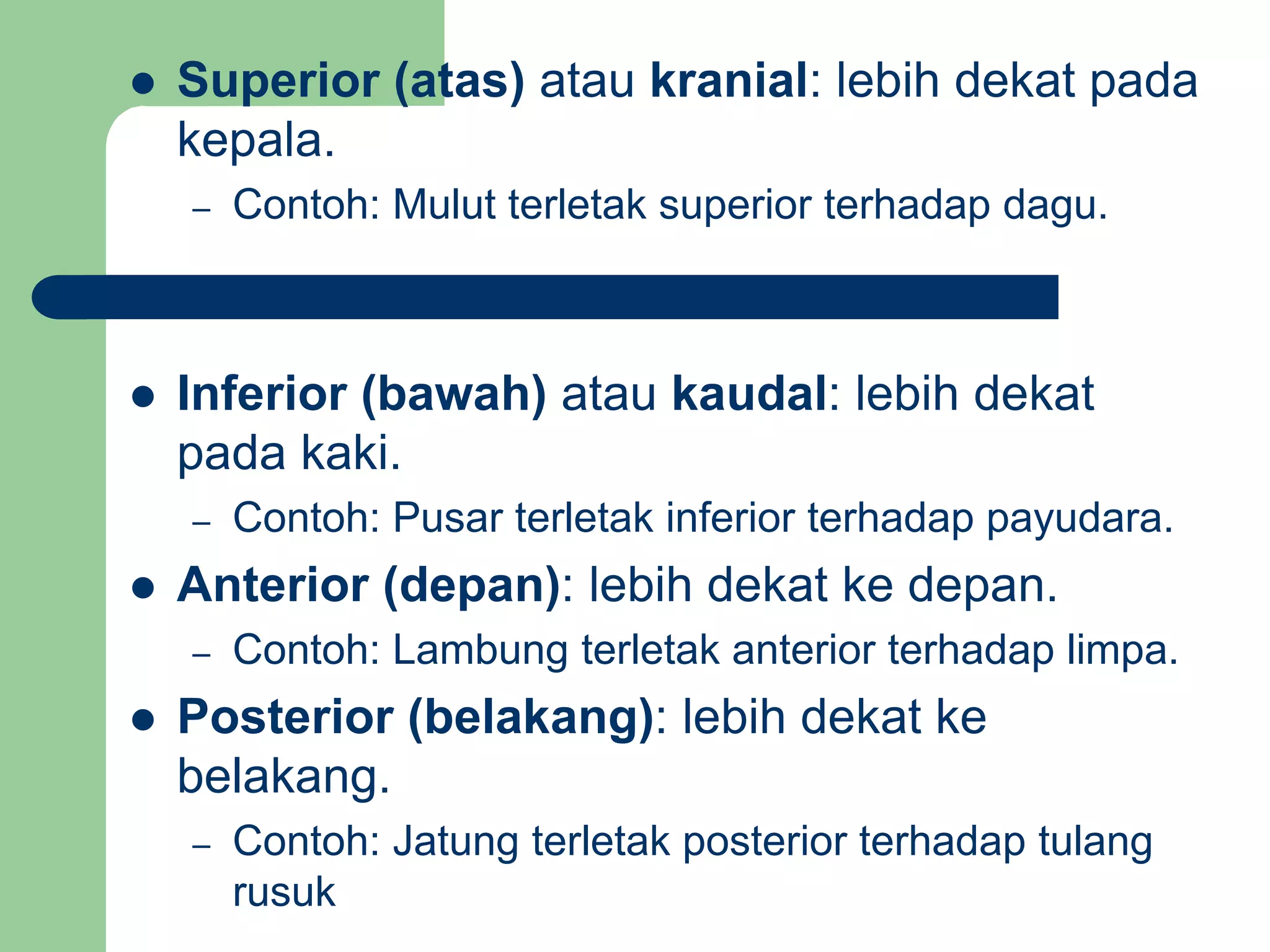 Dasar dasar anatomi | PPTX