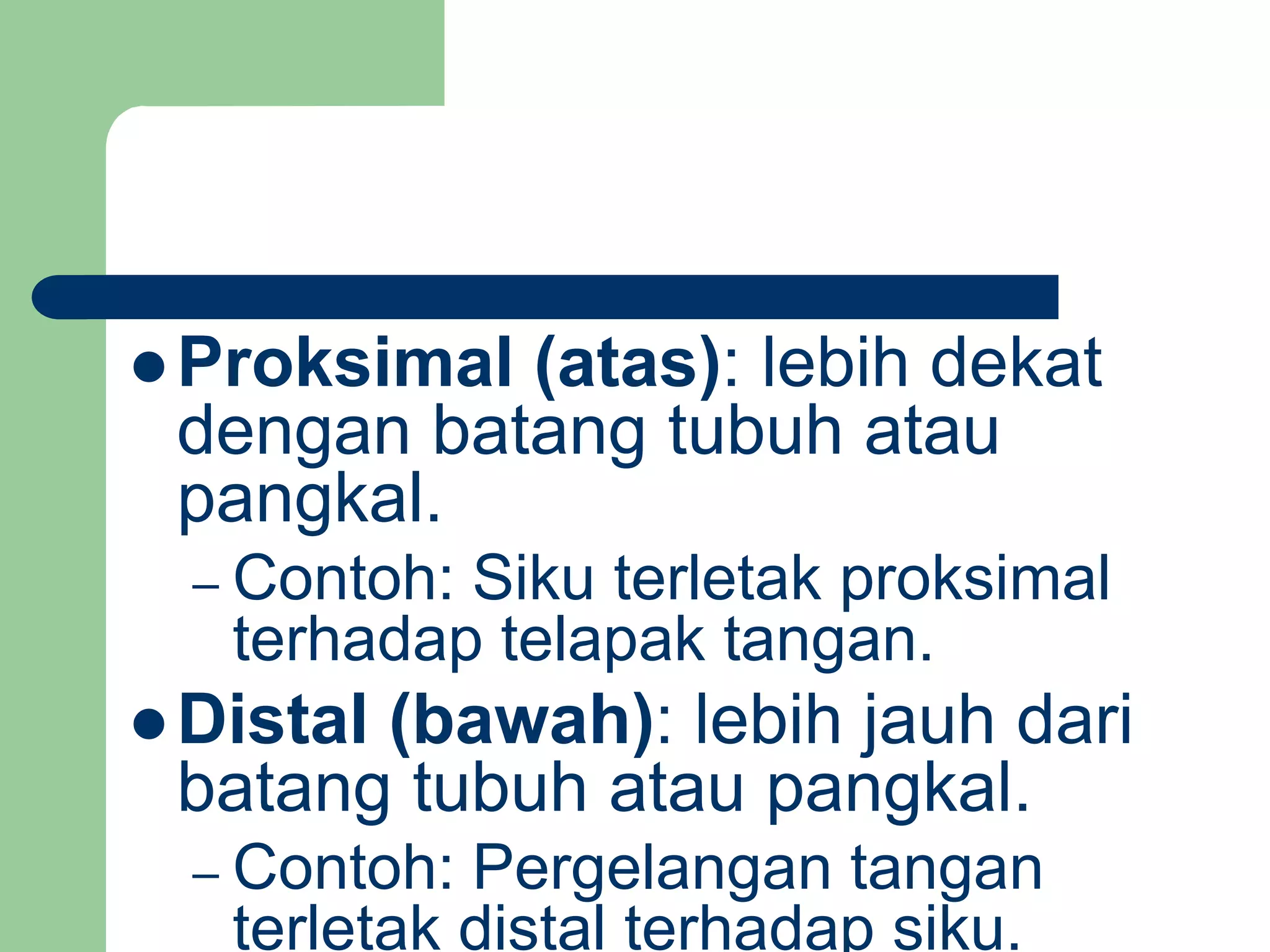 Dasar dasar anatomi | PPTX
