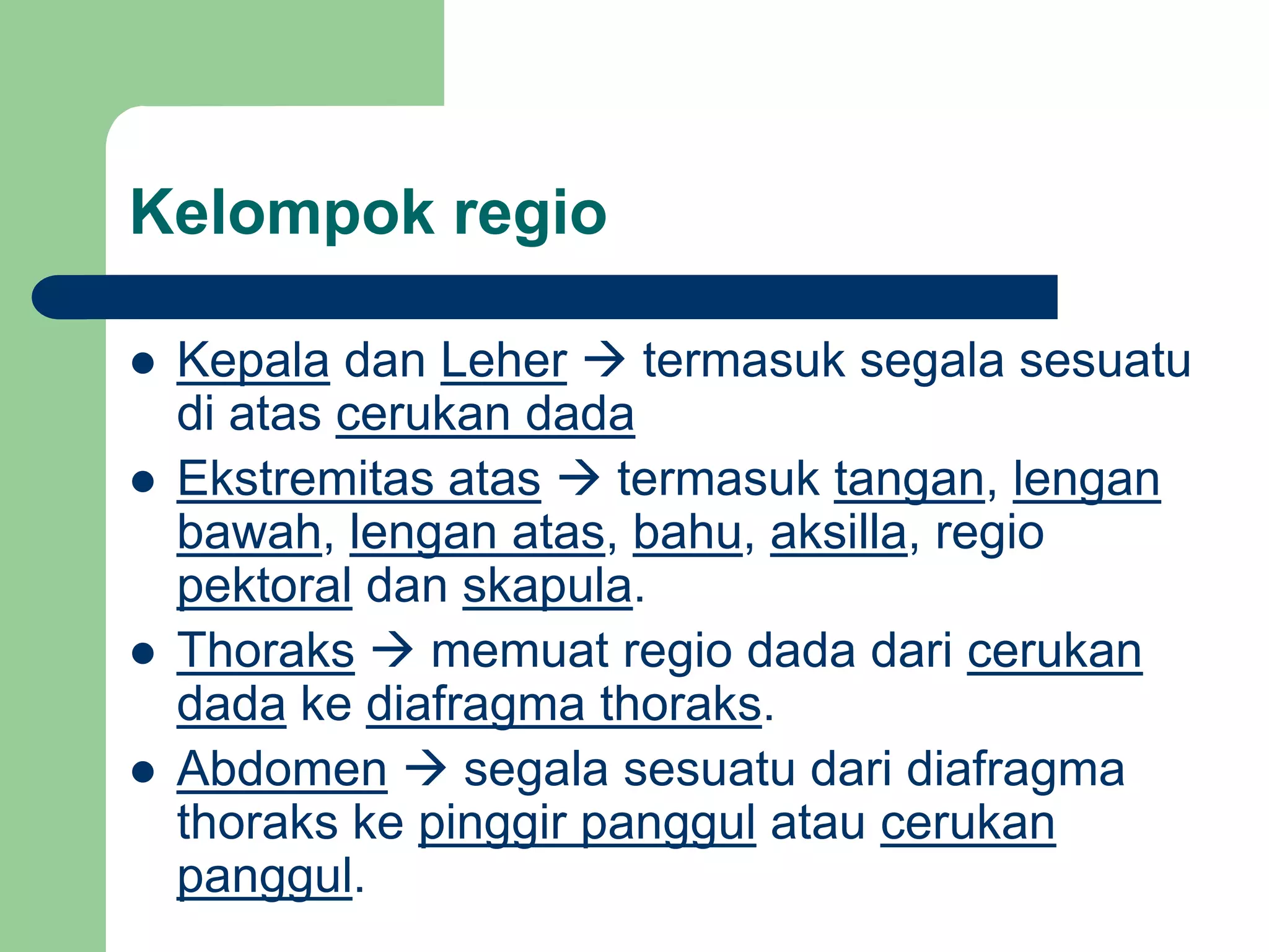 Dasar dasar anatomi | PPTX