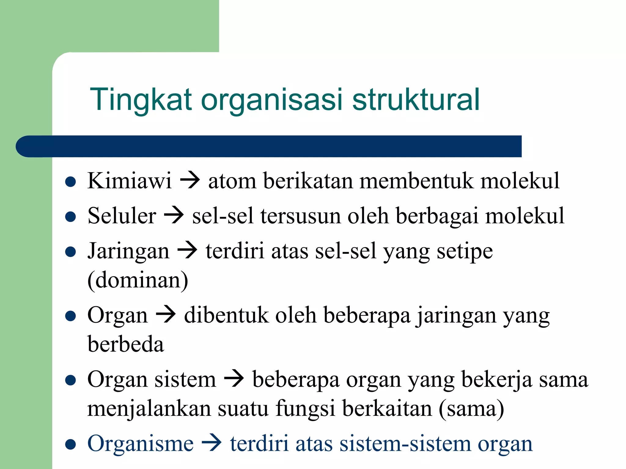Dasar Dasar Anatomi Pptx