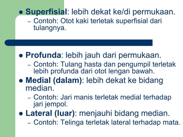 Dasar dasar anatomi | PPTX