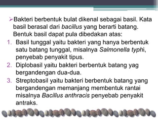 DASAR-DASAR BAKTERIOLOGI DAN MIKROBIOLOGI.pptx