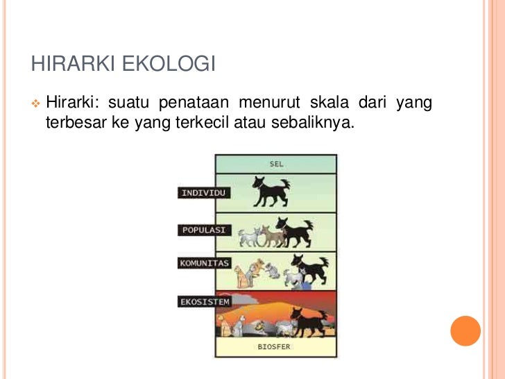 Dasar dasar ekologi hewan Dasar dasar ekologi hewan