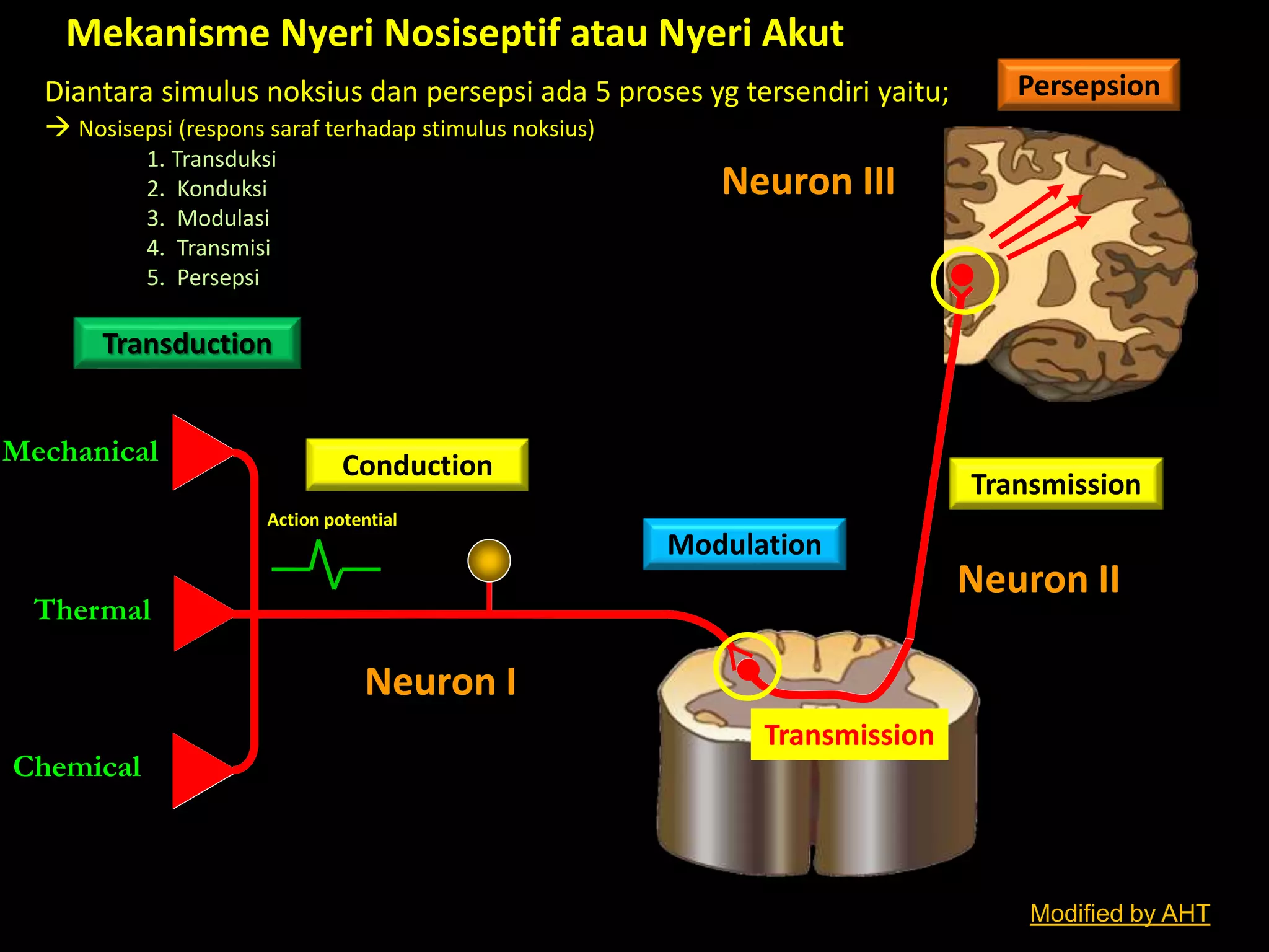 Dasar dasar nyeri akut, neuropatik dan kronik | PPTX