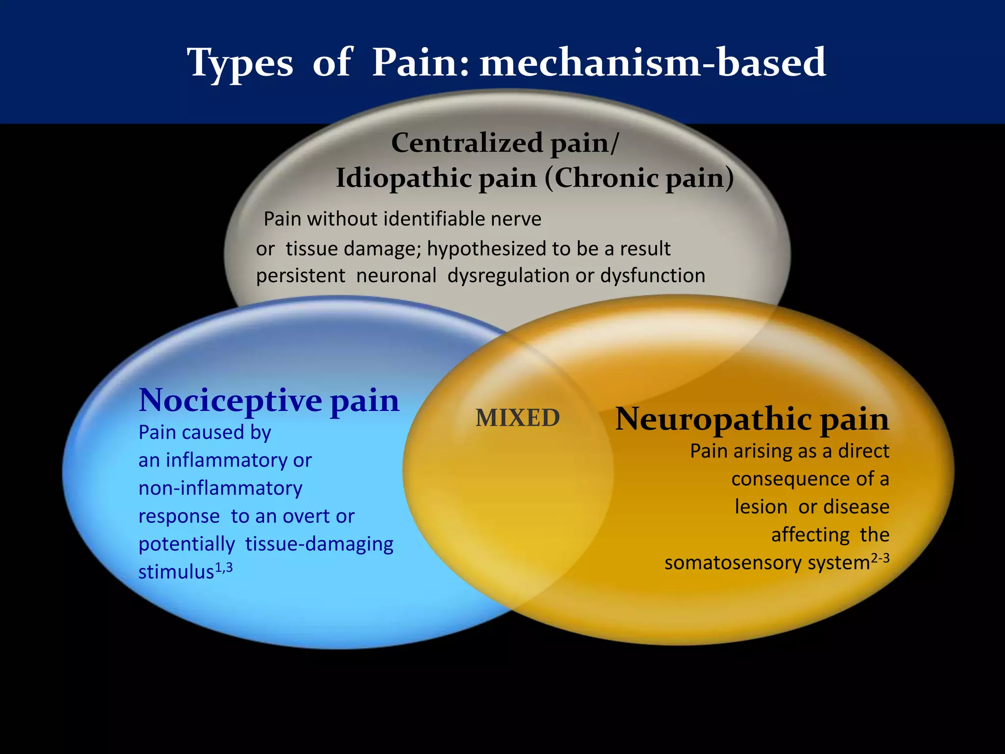 Dasar dasar nyeri akut, neuropatik dan kronik | PPTX
