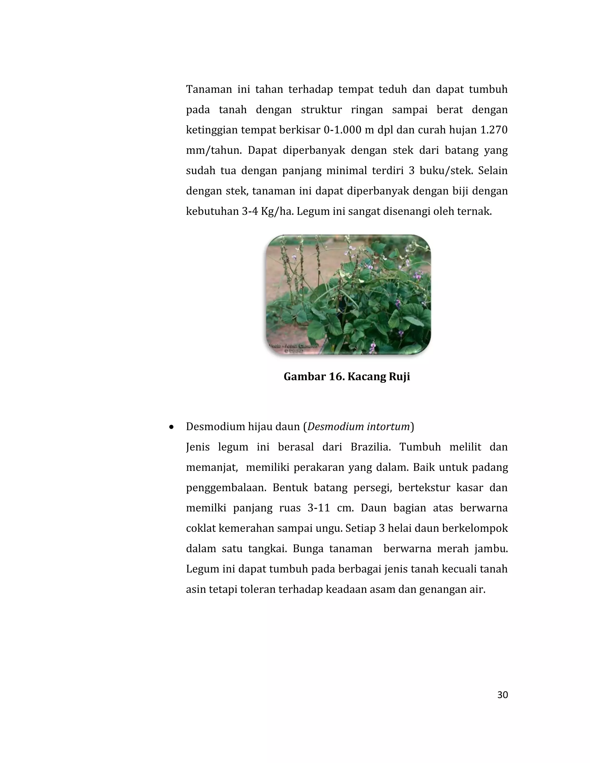 Dasar Dasar Pakan Ternak | PDF