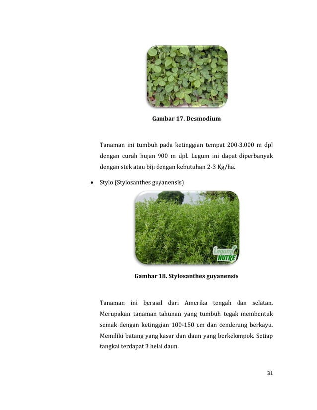 Dasar Dasar Pakan Ternak | PDF