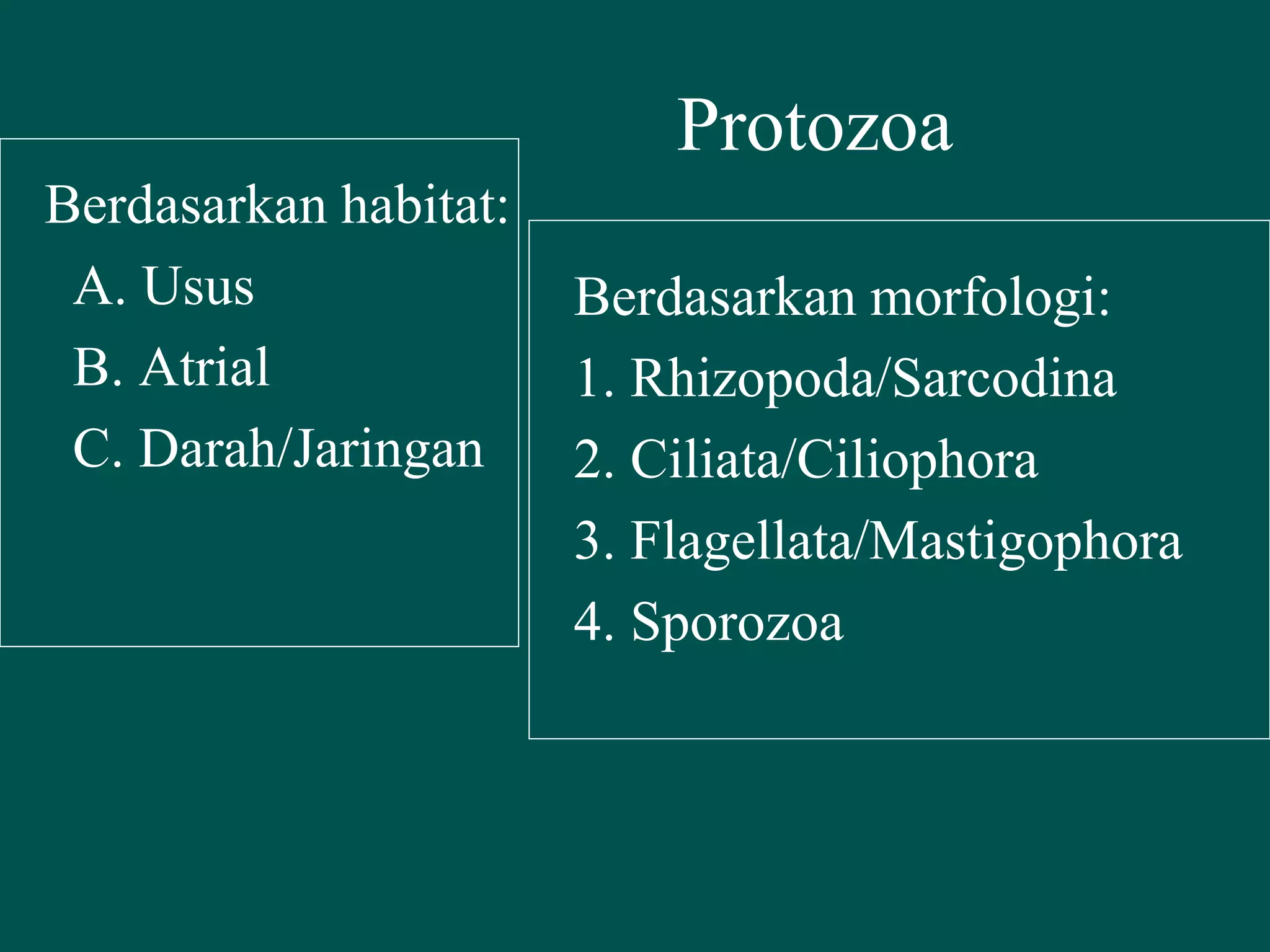 Dasar-dasar parasitologi | PPT