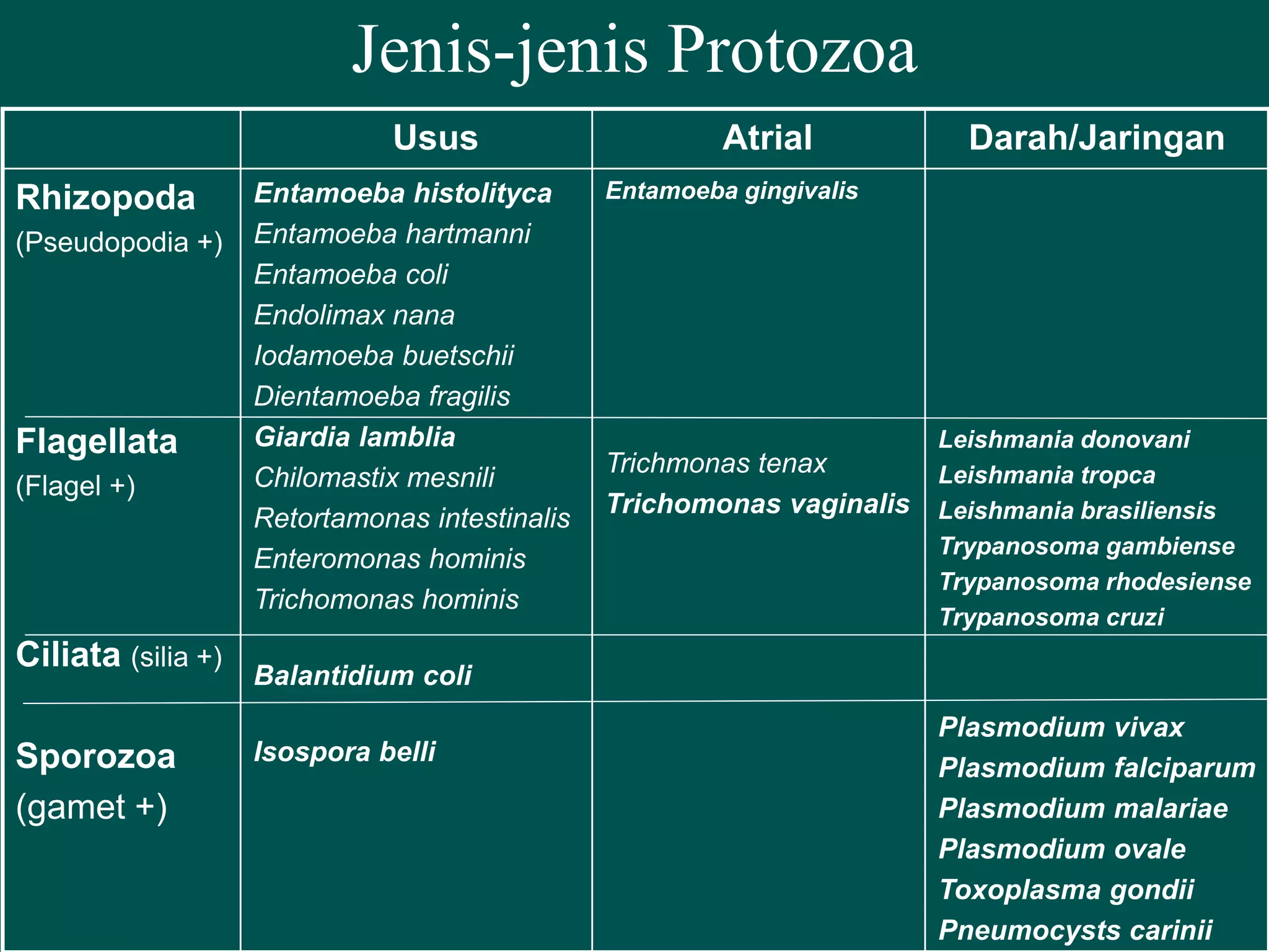 Dasar-dasar parasitologi | PPT