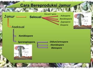 Dasar dasar perlindungan tanaman - penyakit tanaman ( virus,bakteri ...