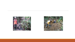 Dasar-dasar sampling batubara dan mineral.pptx