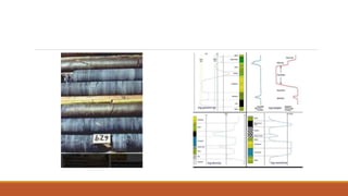Dasar-dasar sampling batubara dan mineral.pptx