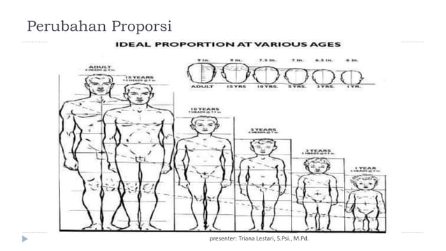 Dasar-dasar Teori Perkembangan Individu.ppt
