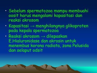 dasar-vertilasi-morulablastula-nidasi-dan-gastrula.ppt