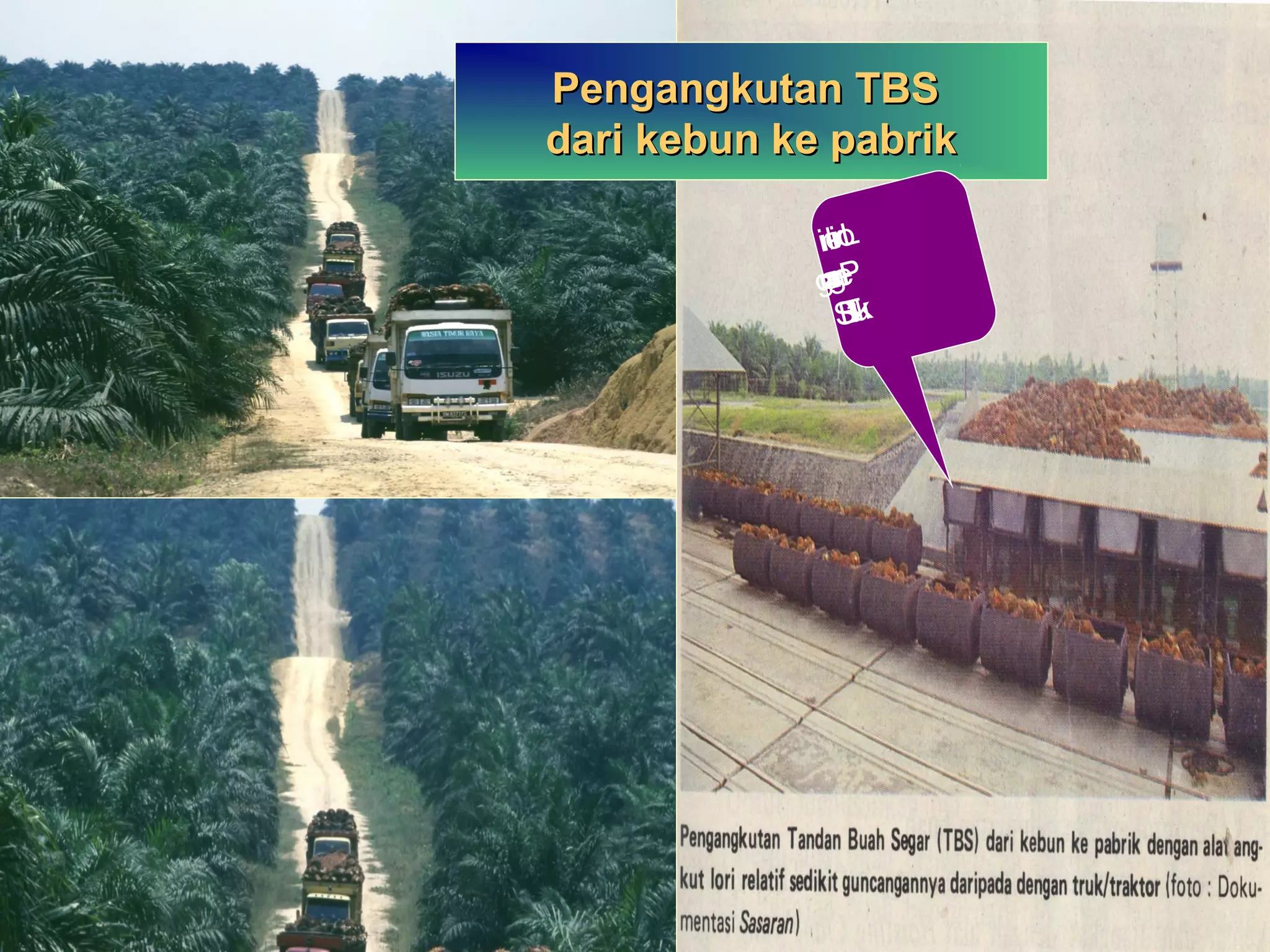 Dasar2 tphp(4) | PPT