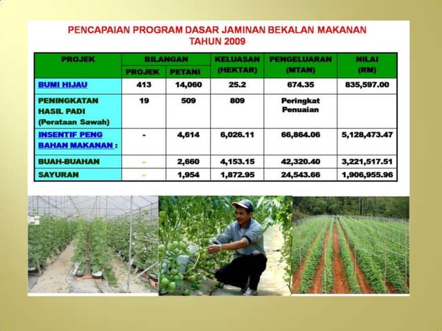 Dasar Agromakanan & Dasar Jaminan Bekalan Makanan | PPTX