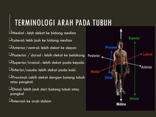 DASAR ANATOMI ISTILAH ANATOMI TUBUH.pptx