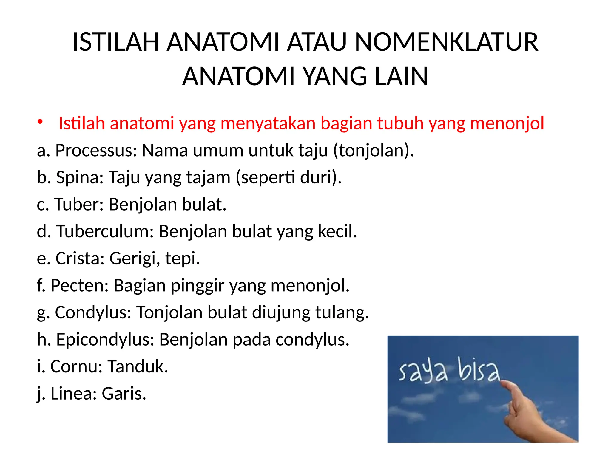 Dasar anatomi fisiologi pertemuan kesatu | PPTX