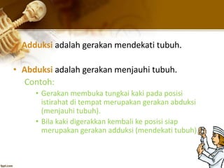 Dasar dan istilah anatomi | PPTX