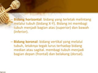 Dasar dan istilah anatomi | PPTX
