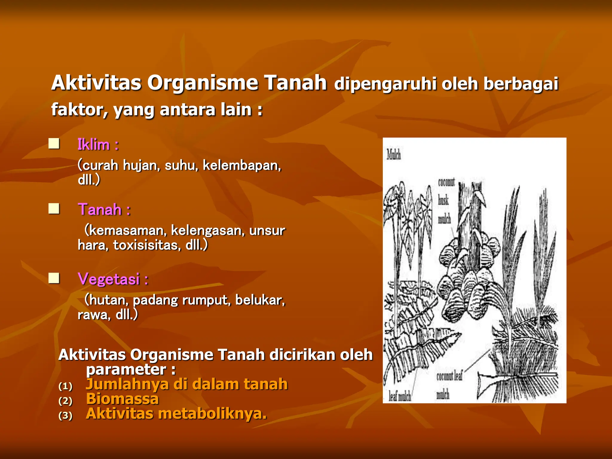 DASAR_DASAR_ILMU_TANAH_Biologi_Tanah.ppt