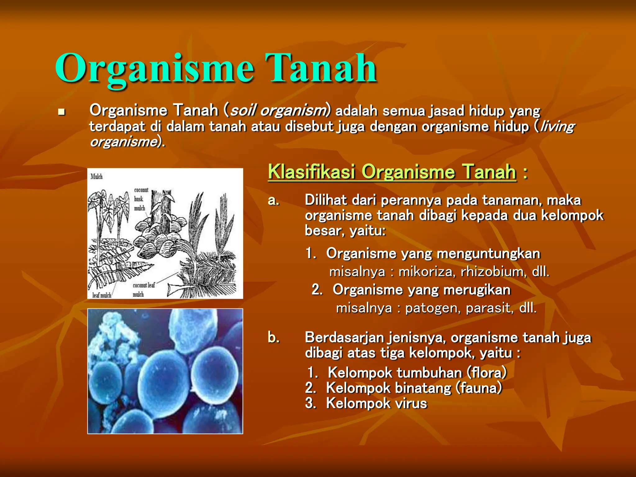DASAR_DASAR_ILMU_TANAH_Biologi_Tanah.ppt