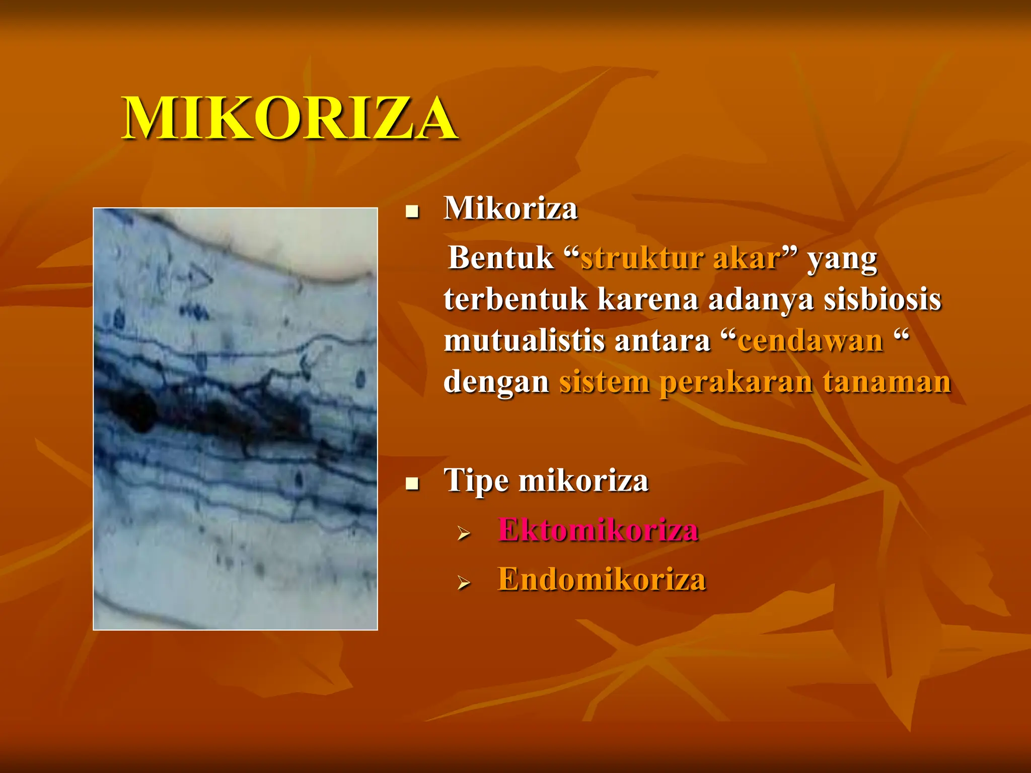 DASAR_DASAR_ILMU_TANAH_Biologi_Tanah.ppt