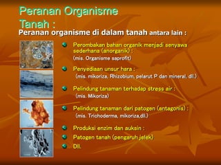 DASAR_DASAR_ILMU_TANAH_Biologi_Tanah.ppt