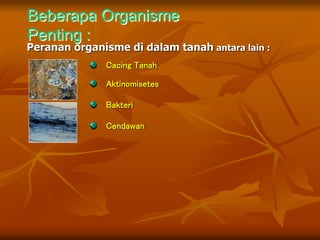 DASAR_DASAR_ILMU_TANAH_Biologi_Tanah.ppt