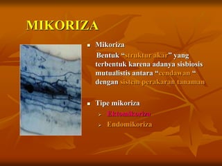 DASAR_DASAR_ILMU_TANAH_Biologi_Tanah.ppt