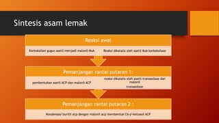 Dasar dasar metabolisme | PPTX