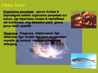 Dasar Dasar Penyakit Ikan penyakit infeksi | PPTX