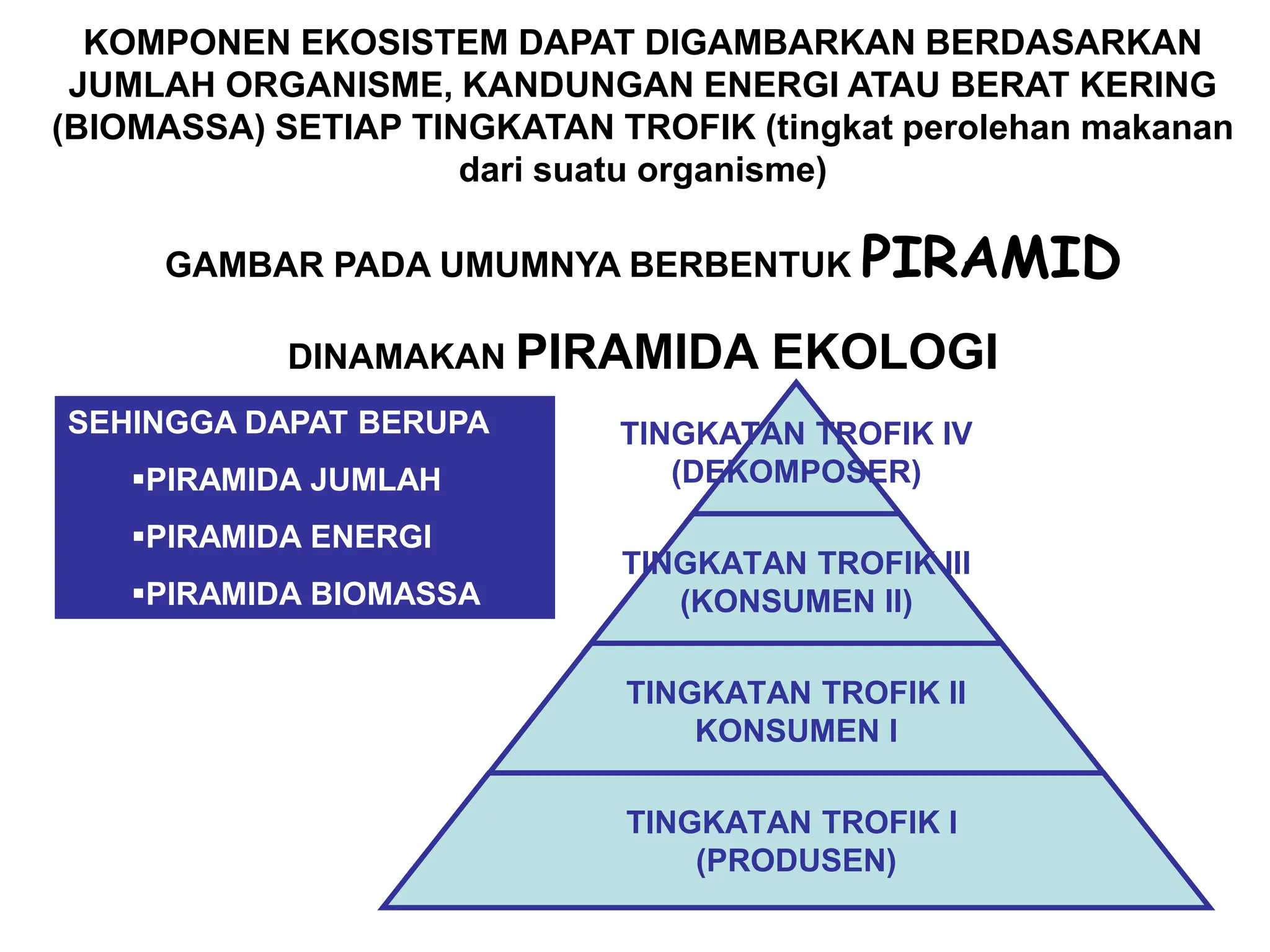 Dasar Ekologi (Pengertian, pembagian, komponen, dan funsi) | PPT