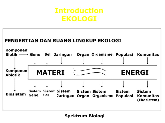 Dasar Ekologi (Pengertian, pembagian, komponen, dan funsi) | PPT
