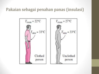 Dasar kenyamanan termal | PPT